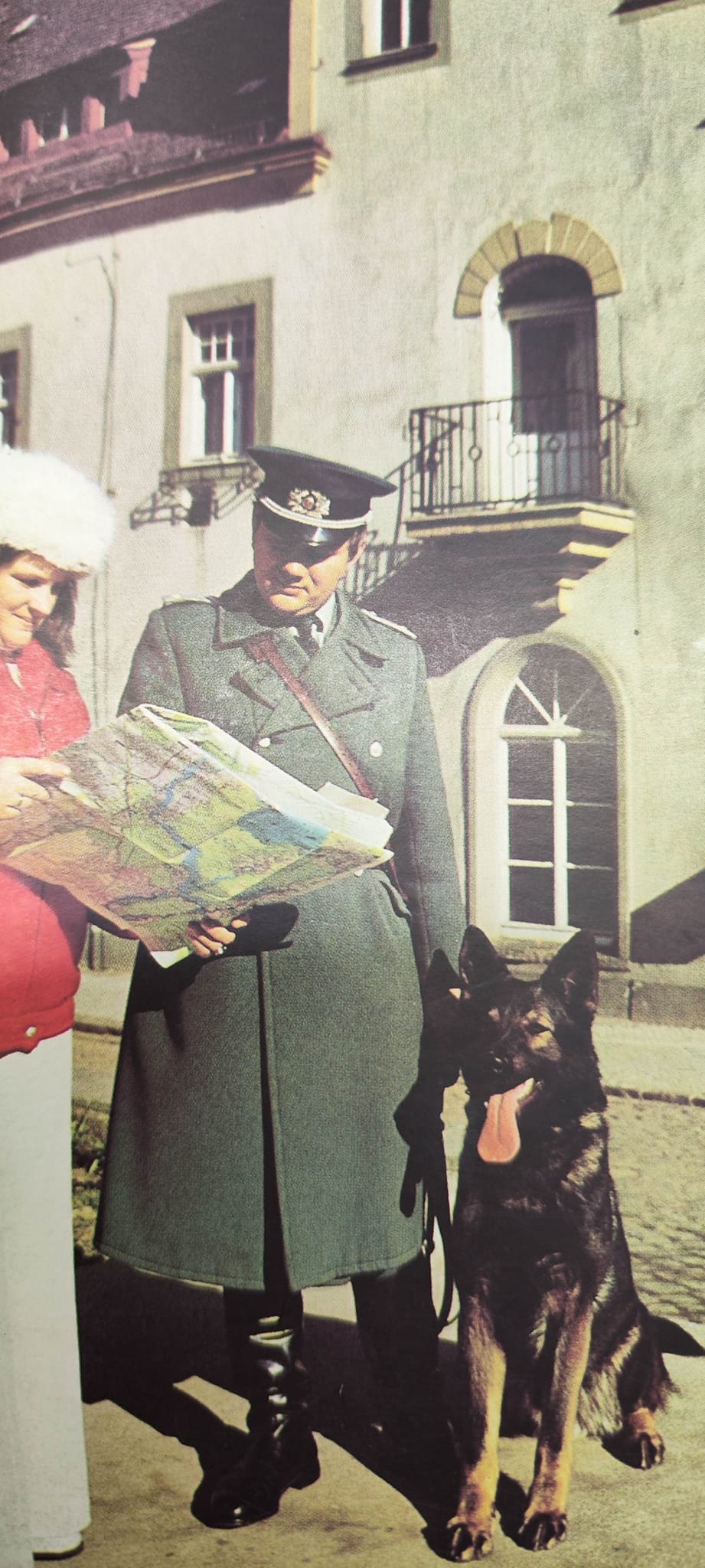 Some facts about DDR German Shepherds that you should know – STASI Kennel